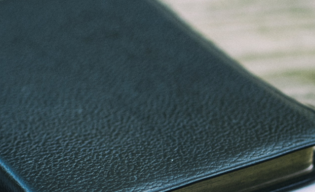 Docket Search | Colorado Judicial Branch