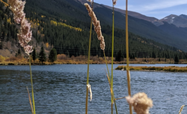 Self-Help Resources | Colorado Judicial Branch